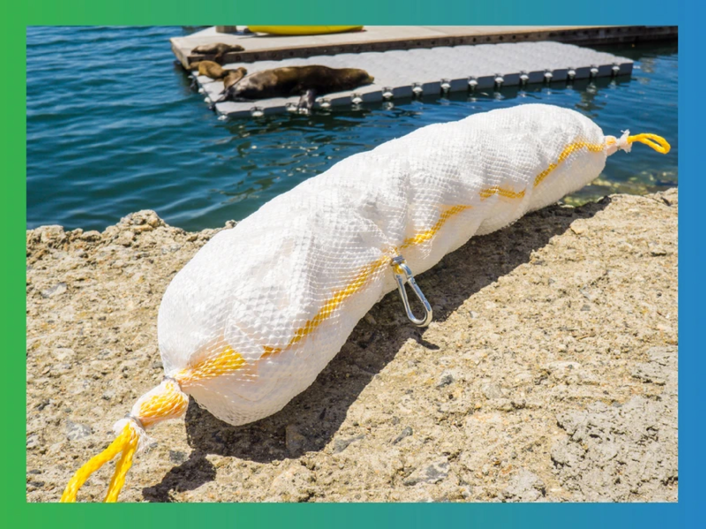 EarthWise | StartEngine