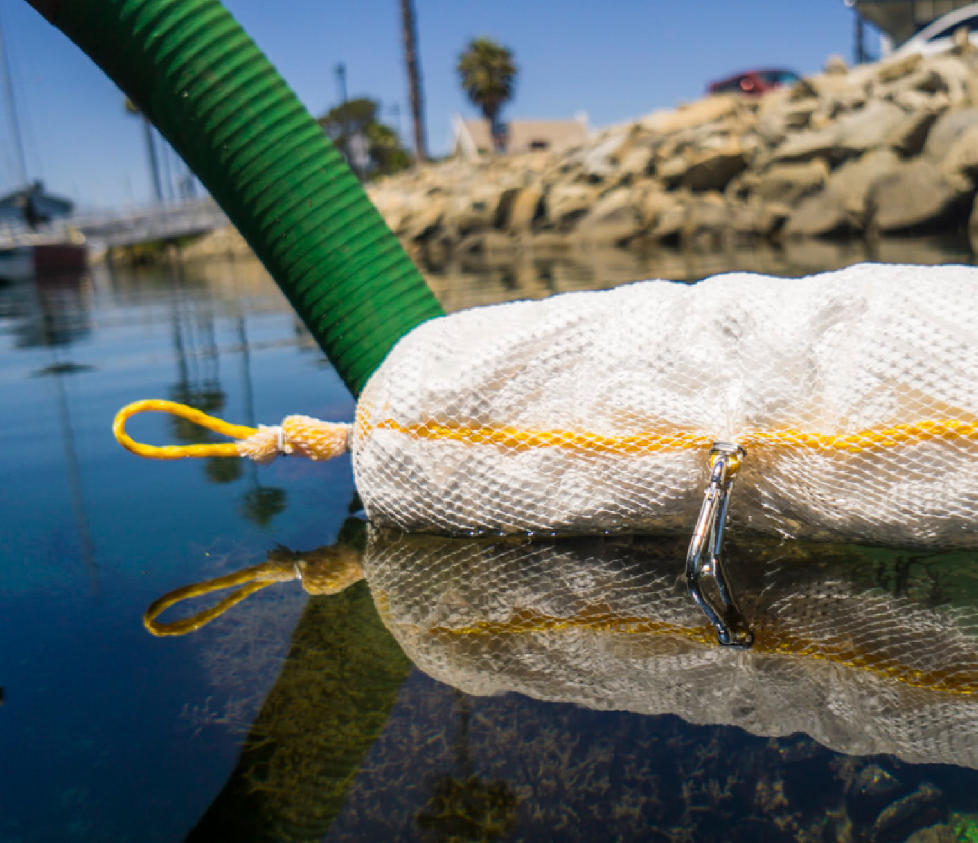 EarthWise | StartEngine