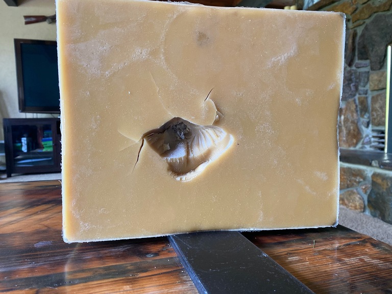 Rhino Hide | StartEngine