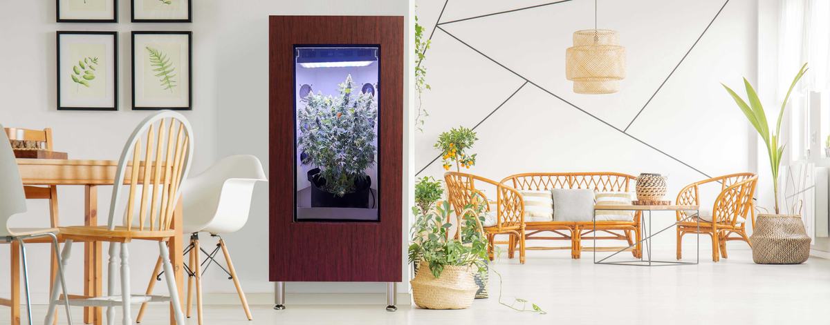 Green Goddess Supply (Reg CF) | StartEngine